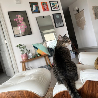 Rococo Art, Coquette Room Decor, Cat Mom Gift, Altered Art Print ...