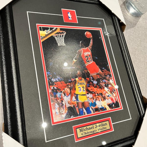 Hulk Hogan WWF WWE World Wrestling Entertainment Federation 8x10 ...