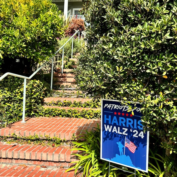 Veterans Against Fascism Protest Sign – 24x18 Yard Sign With Metal H ...