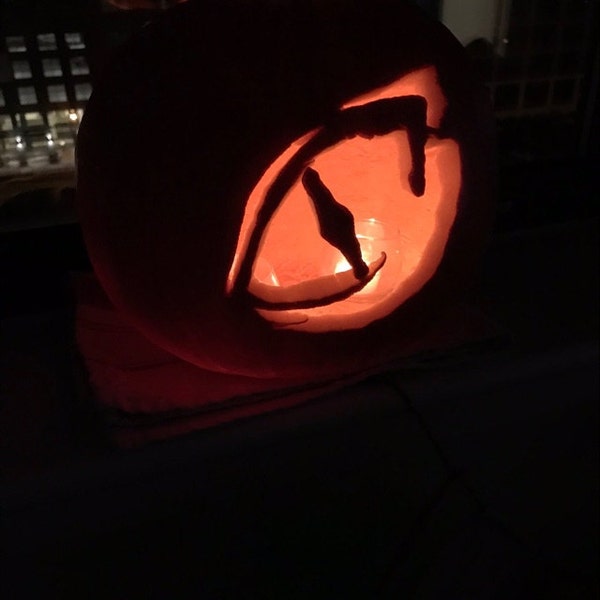 Raccoon Pumpkin Carving Stencil Printable - Etsy