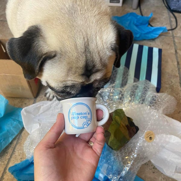 Reusable Pup Cup Custom Puppuccino Mug Dog Mom Gift 2oz Personalized ...