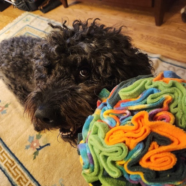 Standing Fabric Holder, Black & Red Bloom, 4 Pocket Rows, Bingo Tabs ...