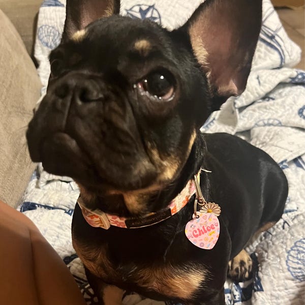 Retro Smiley Dog Tag Retro Dog Tag Pet Tag Custom Dog Tag Personalized ...