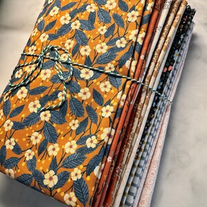 Moda- Project Jelly Roll Half Hexi Ruler - Etsy