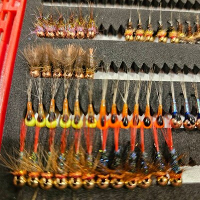 Steens Squirrel Euro Streamer - Etsy