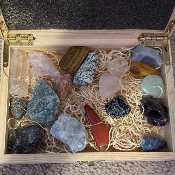 Fossil Mix Raw Fossil Hunting Kit Genuine Assortment of Fossils Bulk ...