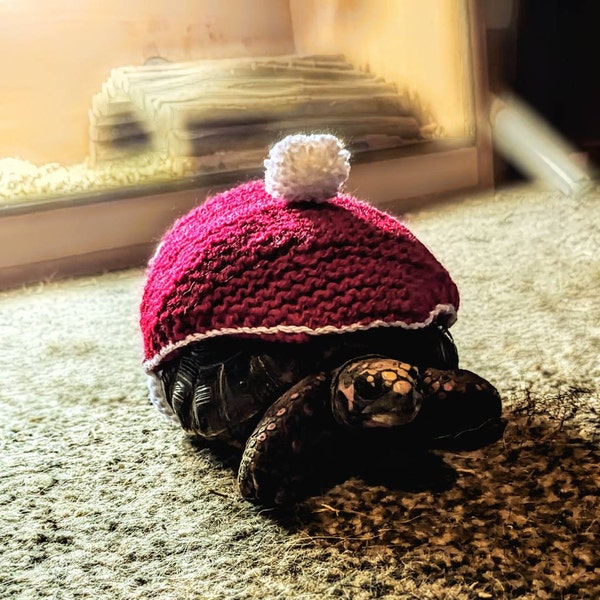Santa Hat Tortoise Cosy, Pet Photo Prop, Pet Costume, Tortoise Costume ...