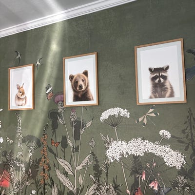 Cute Baby Animals, Set of 6 Woodland Creatures Prints, Outdoor Nature ...
