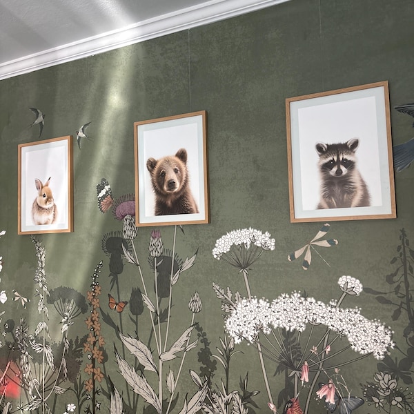 Cute Baby Animals, Set of 6 Woodland Creatures Prints, Outdoor Nature ...