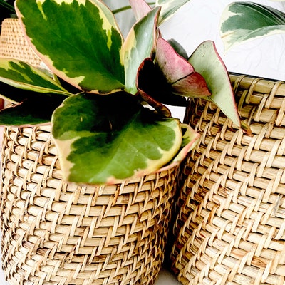 Rattan Damru Side Table - Etsy