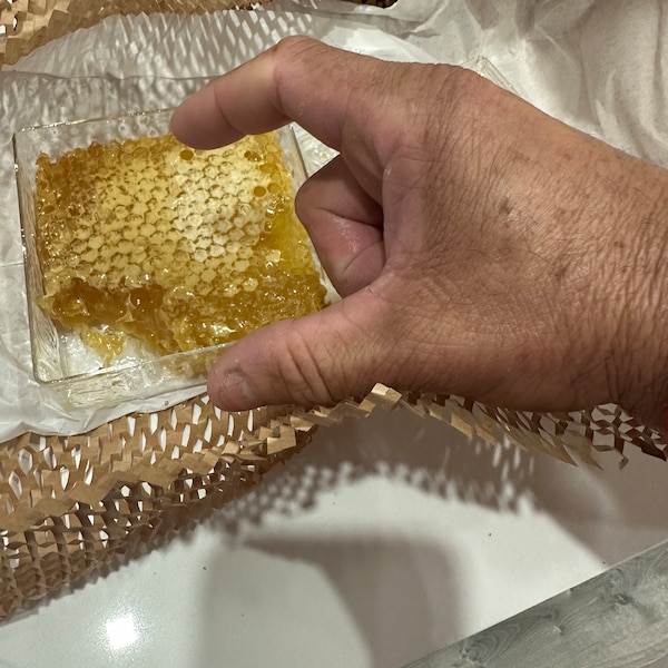 Fresh Cut Honeycomb Squares - Raw, Natural, and Handcrafted From the NY ...