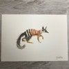 Cat Card - Etsy