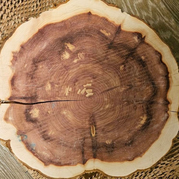 Live Edge Cedar 24”-48” Length Boards and Various Widths: Unique and ...