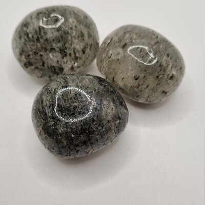 Picasso Jasper Palms A Grade - Etsy