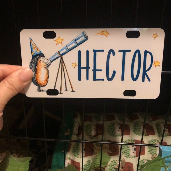 Personalized Hedgehog Name Plate / Hedgehog Sign / Cage Accessory ...