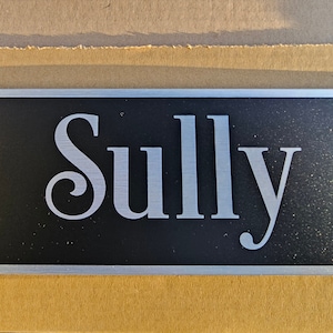 PEE PEE ROOM Sign, Brushed Copper Bathroom Sign, Copper Black Pee Pee Room Door Signs, Toilet ...