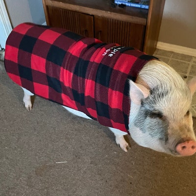 Fleece Strap Sweater Double Layer Pig Coat With Leash Hole Mini Pig ...