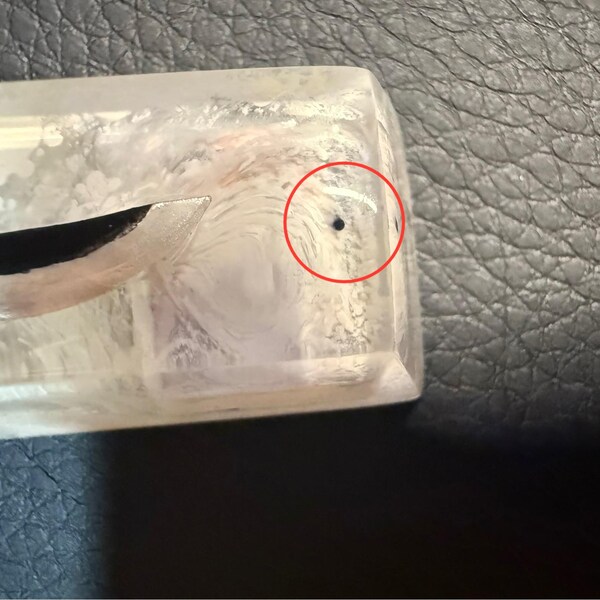 Shark Vs Kraken Fight Diorama Megalodon Hunting Ocean Theme Epoxy Lamp ...