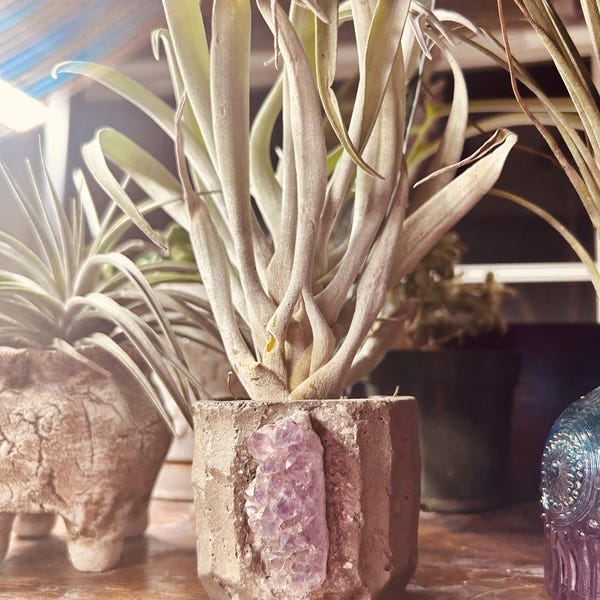 Geode Planter/ Cement Planter/ Small Plant Pot/ Brazilian Amethyst ...