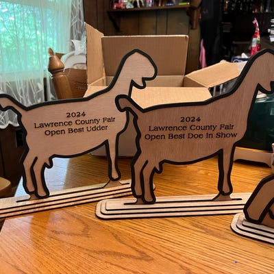 Market Barrow Hog Pig Show Award for Livestock Show Expo 4H Trophy - Etsy