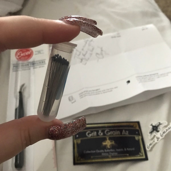 Insect Specimen Pins for Bug Pinning, Entomology Study, Insect ...