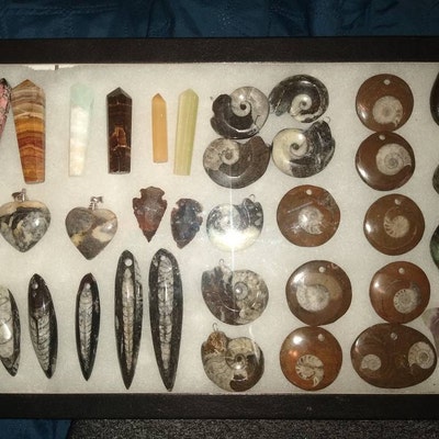 6 Pack of Riker Display Cases 3 X 4 X 3/4 for Collectibles Jewelry ...