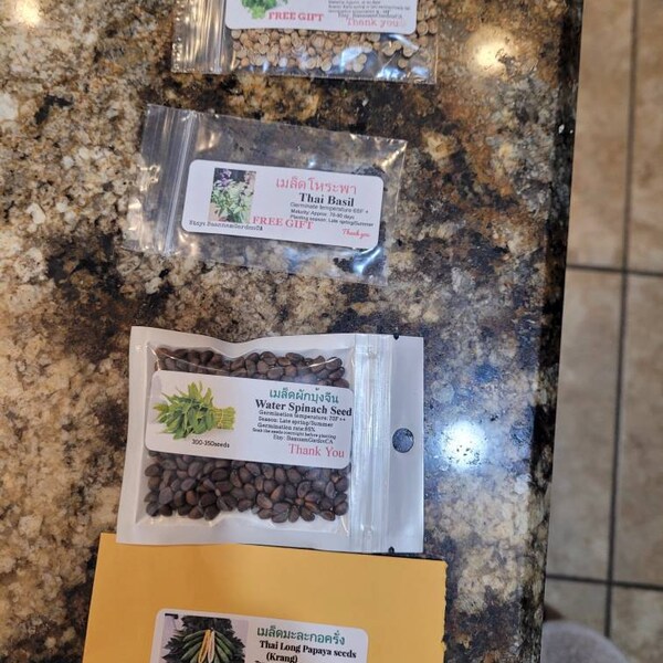 300-350seeds.kangkong,water Convolvulus,river Spinach,chinese Spinach ...