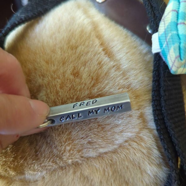 QR Code Id Dog Tag, Scannable Id Tag, QR CODE Pet Tag, Engraved Dog ...