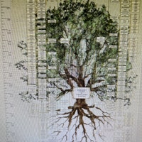 DAR Lineage Chart. Revolutionary War Patriot and His Descendants ...