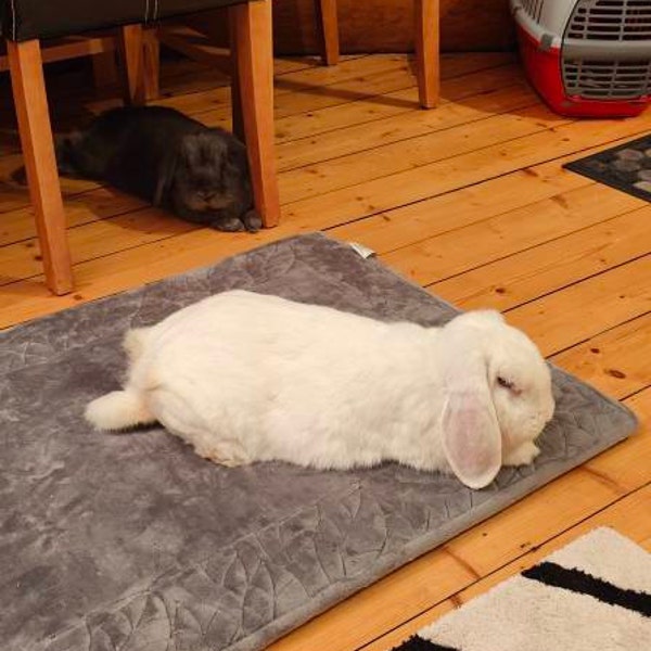 MOUSE or RAT COIN Purse Embroidered and Handmade - Etsy