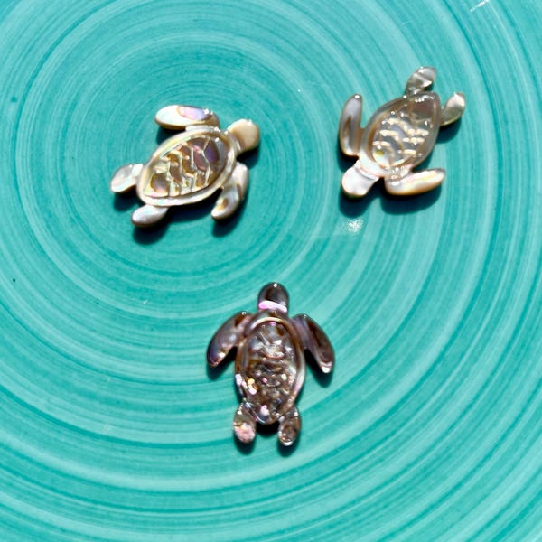 Abalone Carved Sea Turtle Shell Single Bead - 20mm - Itty Bitty Bead ...