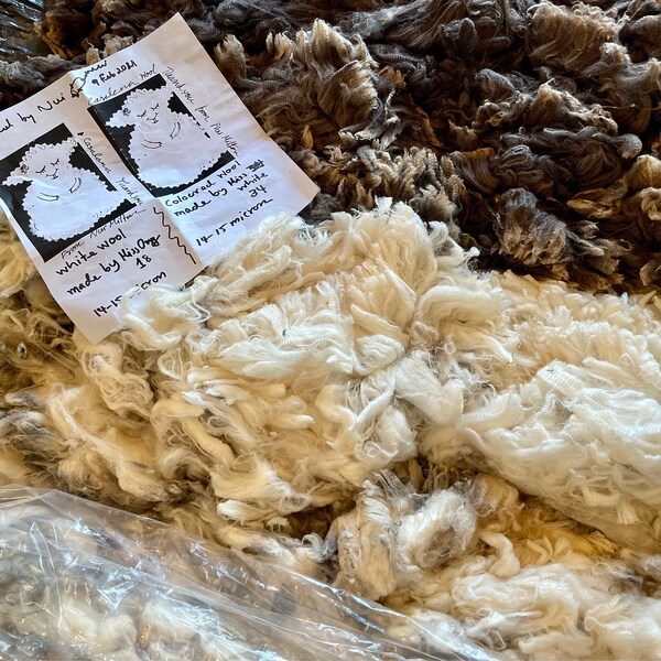 White Merino, 1 Kg (2.2 Lb) of 10-12 Cm Raw Wool Staples R Handed Pick ...