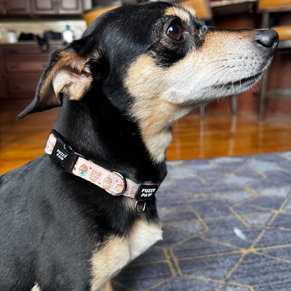 Rainbow Dog Tag - Rainbow Pet Tag - Custom Engraved Pet ID Tag - Cute ...