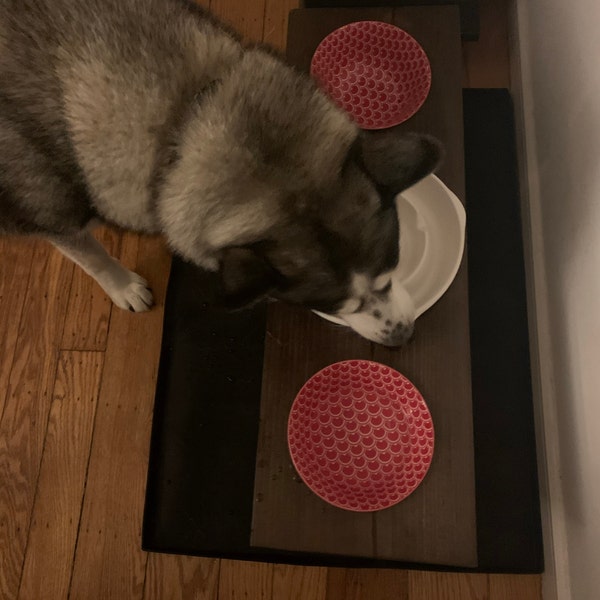 Dog Bowl, Elevated Dog Feeder, Raised Dog Bowl, 3 Dog Bowl, Farmhouse ...