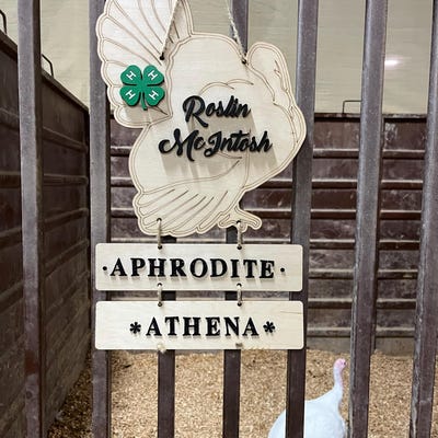 Show Goat Stall Sign, Wood Livestock Show Sign With 3D Raised Letters ...