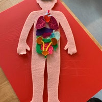 Human Anatomy SVG, Human Anatomy Cut Files, Skeleton Cut File, Home ...