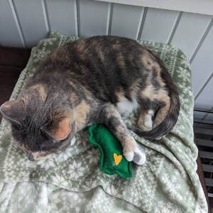 Pico De Gato 1oz Resealable Package of Super Potent Catnip 16100 - Etsy