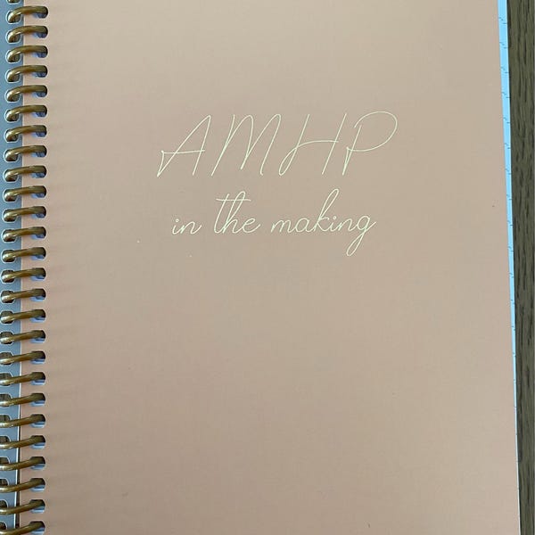 2025, A4, Appointment Diary Day per Page or Order Book (NO TIMES), Foil ...