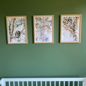 Australian Photography Otways Native Forest Wall Art Gum Trees Aussie ...