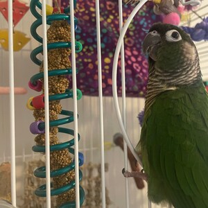 5 Bamboo Firecracker Talon Toys Bird Toys for Pet Parrots by | Etsy