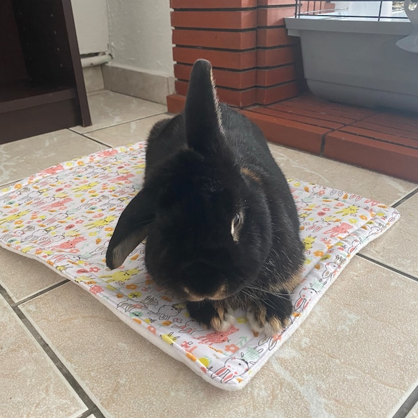 Large Hay Bag for Rabbits, Large Hay Bag for Guinea Pig, Handmade Hay ...