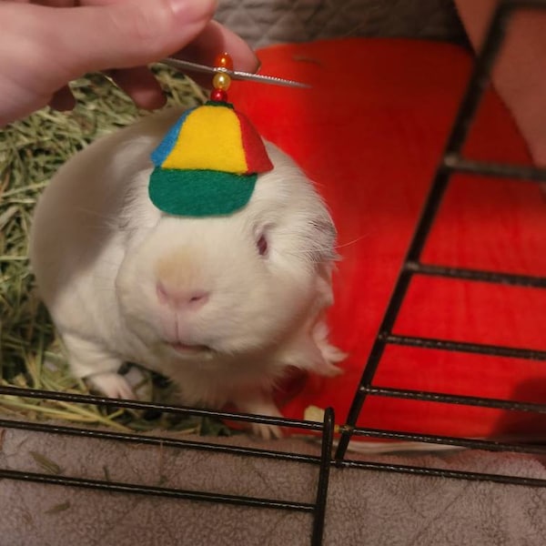 Beanie Hat / Propeller Helicopter Hat for Cat Dog Small Pet Hedgehog ...