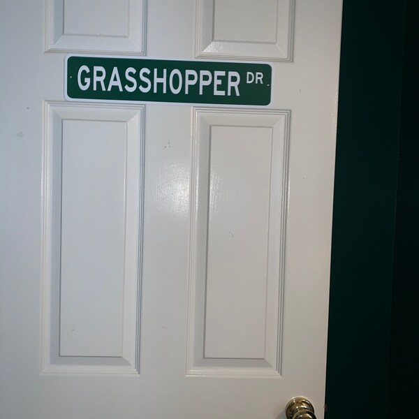 Grasshopper, Grasshopper Gift, Grasshopper Sign, Grasshopper Decor ...