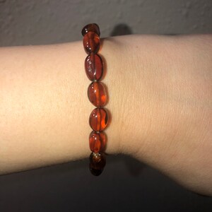 Amber With Rare Bug Insect Trapped for Million Years Fossil | Etsy