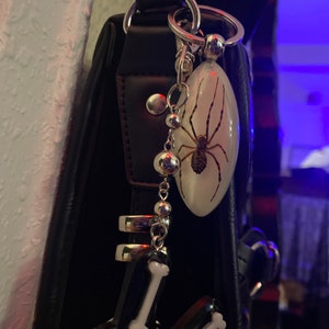 Resin Real Bugs Beetles Scorpion Spider Keychain - Etsy Canada