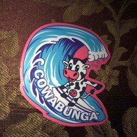 Nebraska State Sticker Nebraska Decal State Laptop Stickers - Etsy