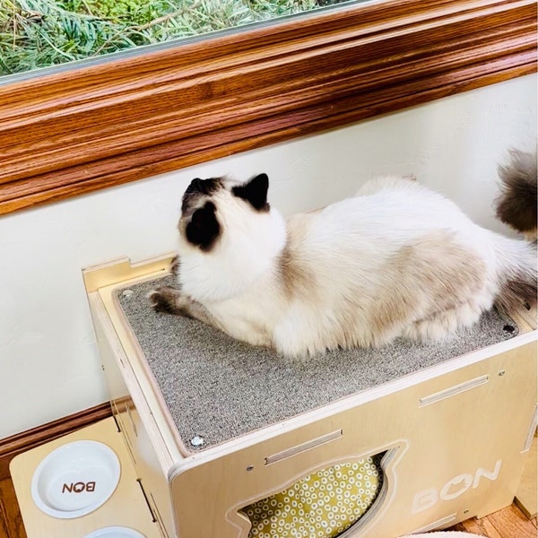 Modern Cat Window Perch, Sturdy Perch, Cat Window Shelf, Cat Bed ...