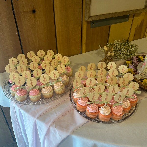 Flopsy Bunny Cupcake Topper - Peter Rabbit Pink Jacket Cupcake Pick ...