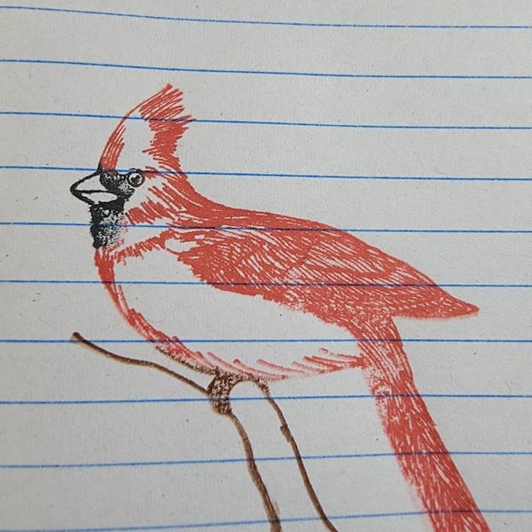 Cardinal Bird Rubber Stamp From Oldislandstamps - Etsy