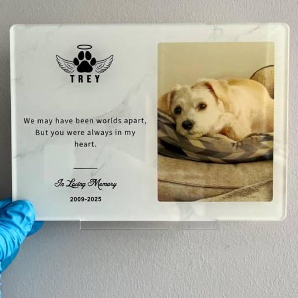 Personalized Pet Memorial Gift, Photo Collage, Dog Memorial Plaque, Pet ...